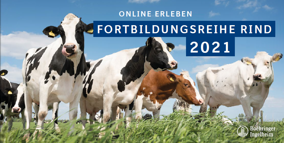 Weitere Themen - Nutztier – Boehringer Ingelheim Vetmedica