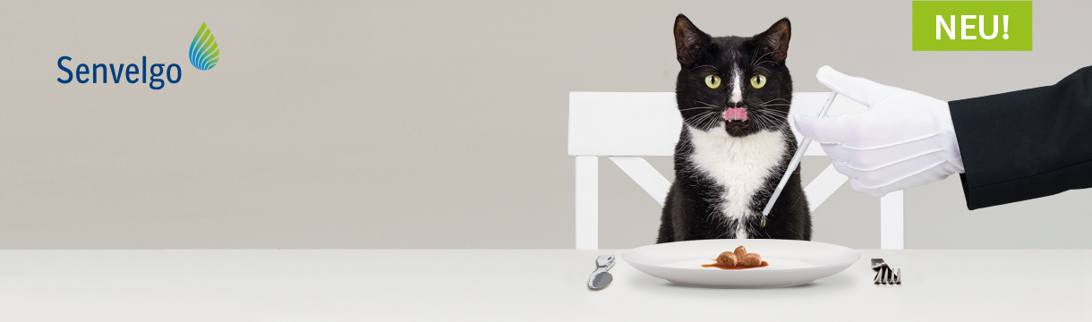 Katzendiabetes - aus kompliziert wird einfach 25.04.2024 – Boehringer ...
