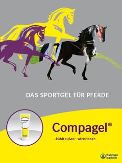 Broschüren Pferd – Boehringer Ingelheim Vetmedica