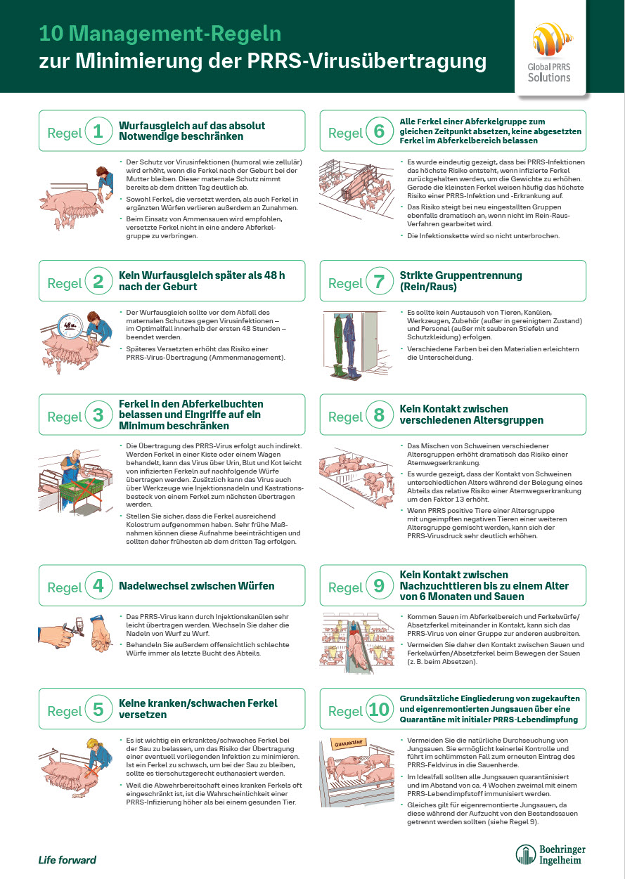 Broschüren Schwein – Boehringer Ingelheim Vetmedica