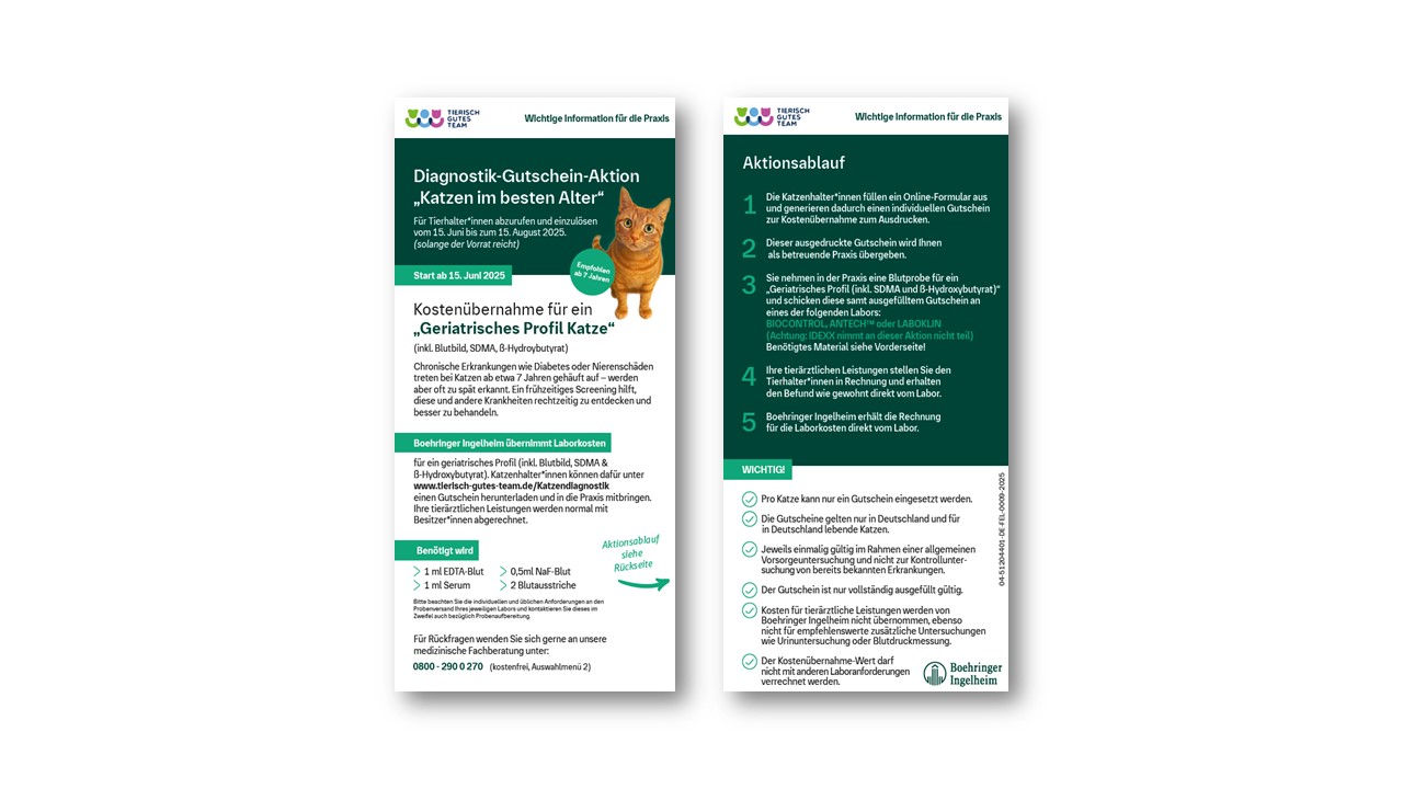 Katzendiagnostik Download-Vet – Boehringer Ingelheim Vetmedica