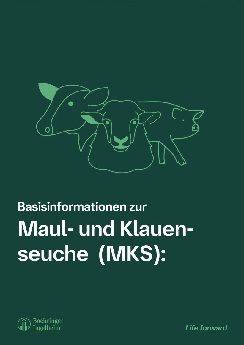 Broschüren Schwein – Boehringer Ingelheim Vetmedica
