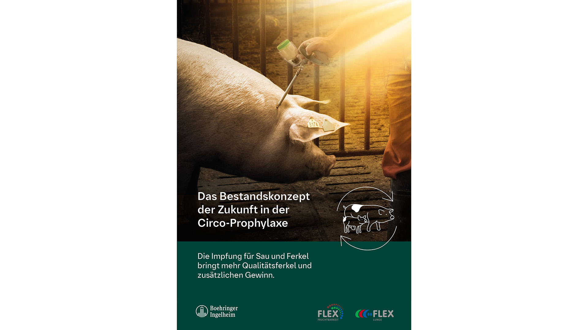Broschüren Schwein – Boehringer Ingelheim Vetmedica