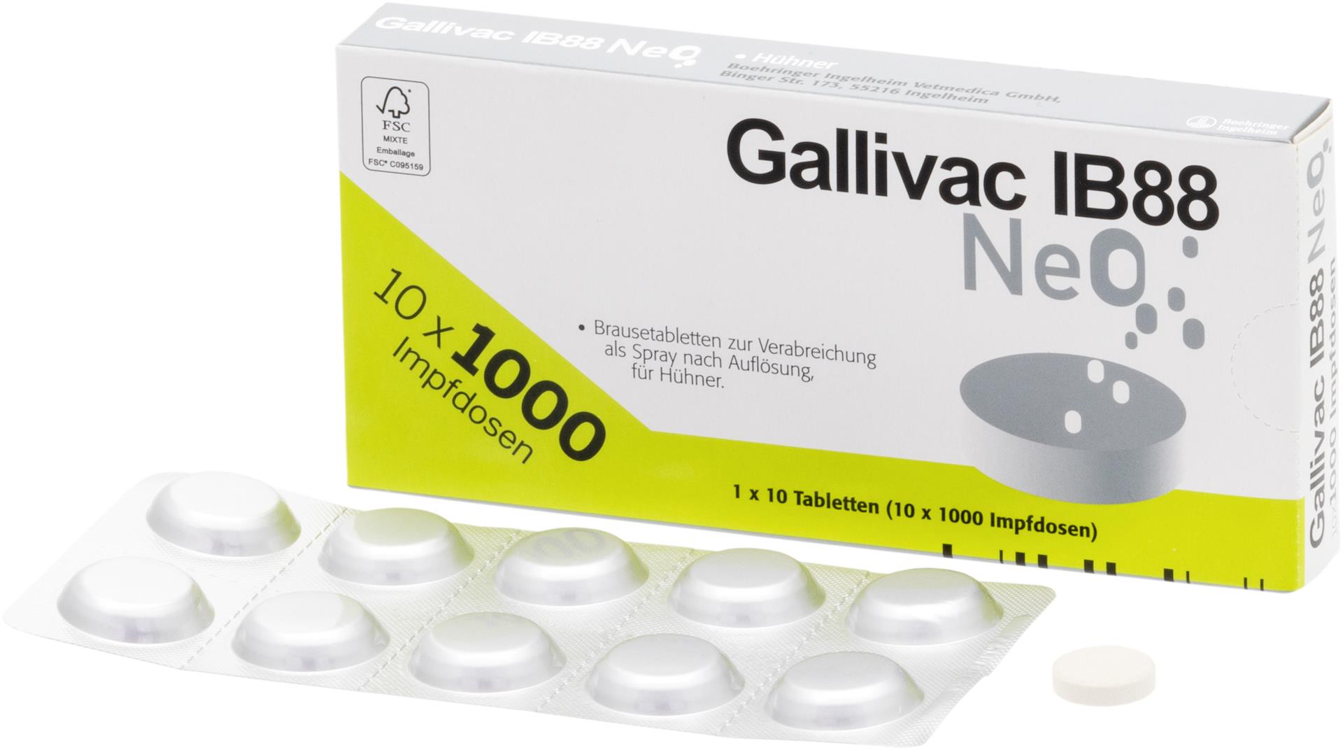Gallivac IB88 NeO – Vetmedica