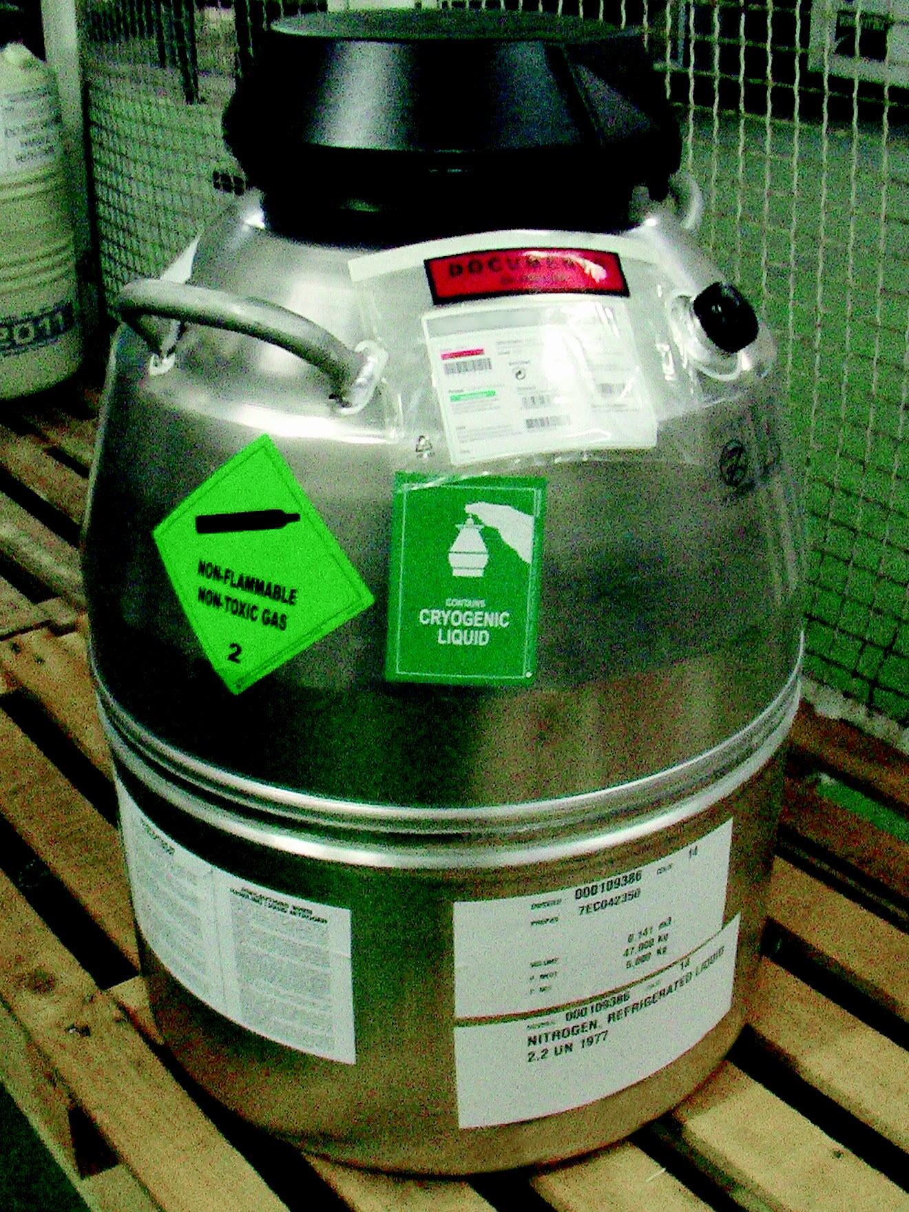 PREVEXXION RN – Vetmedica