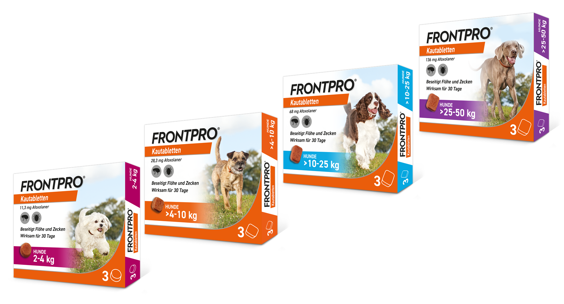 FRONTPRO® Floh- und Zeckentablette für den Hund – Vetmedica