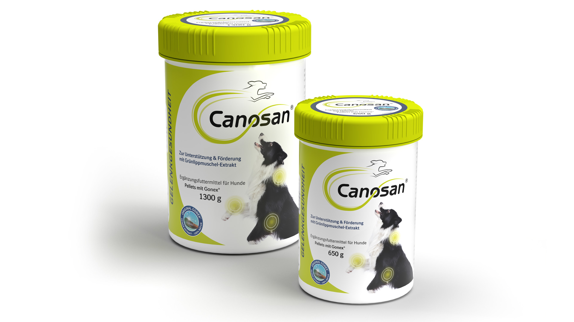 Canosan® Pellets für Hunde – Vetmedica