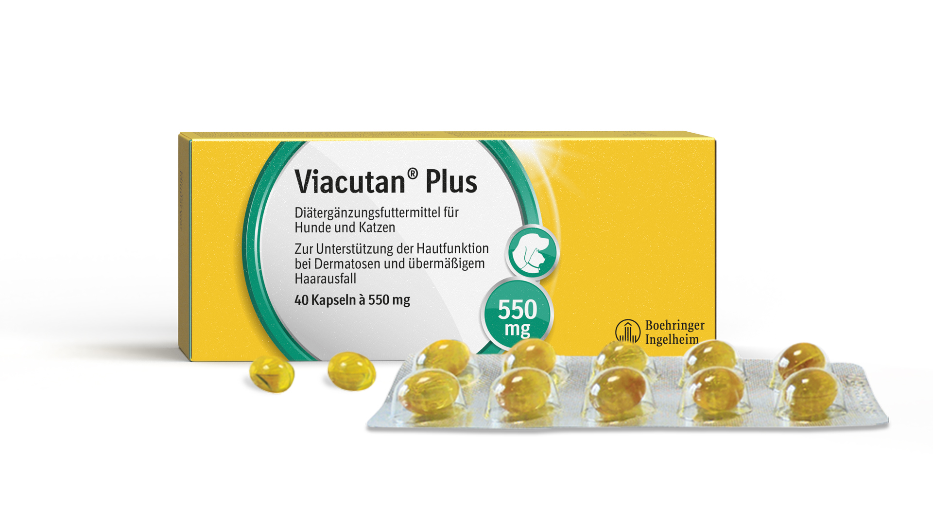 Viacutan® Plus Kapseln – Vetmedica