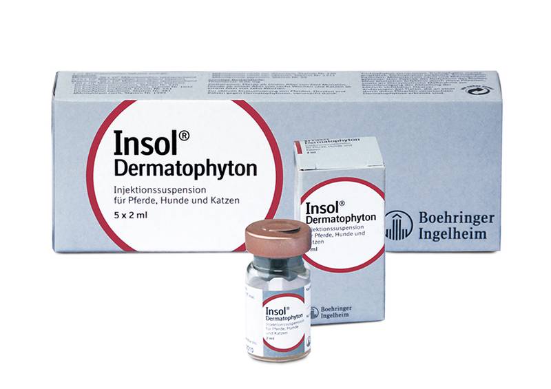 Insol® Dermatophyton – Vetmedica
