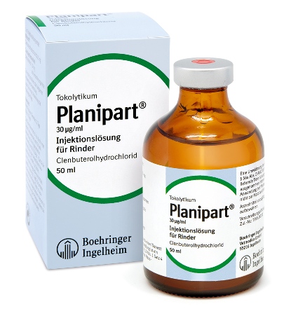 Planipart®: Tokolytikum, Injektionslösung für Rinder – Vetmedica
