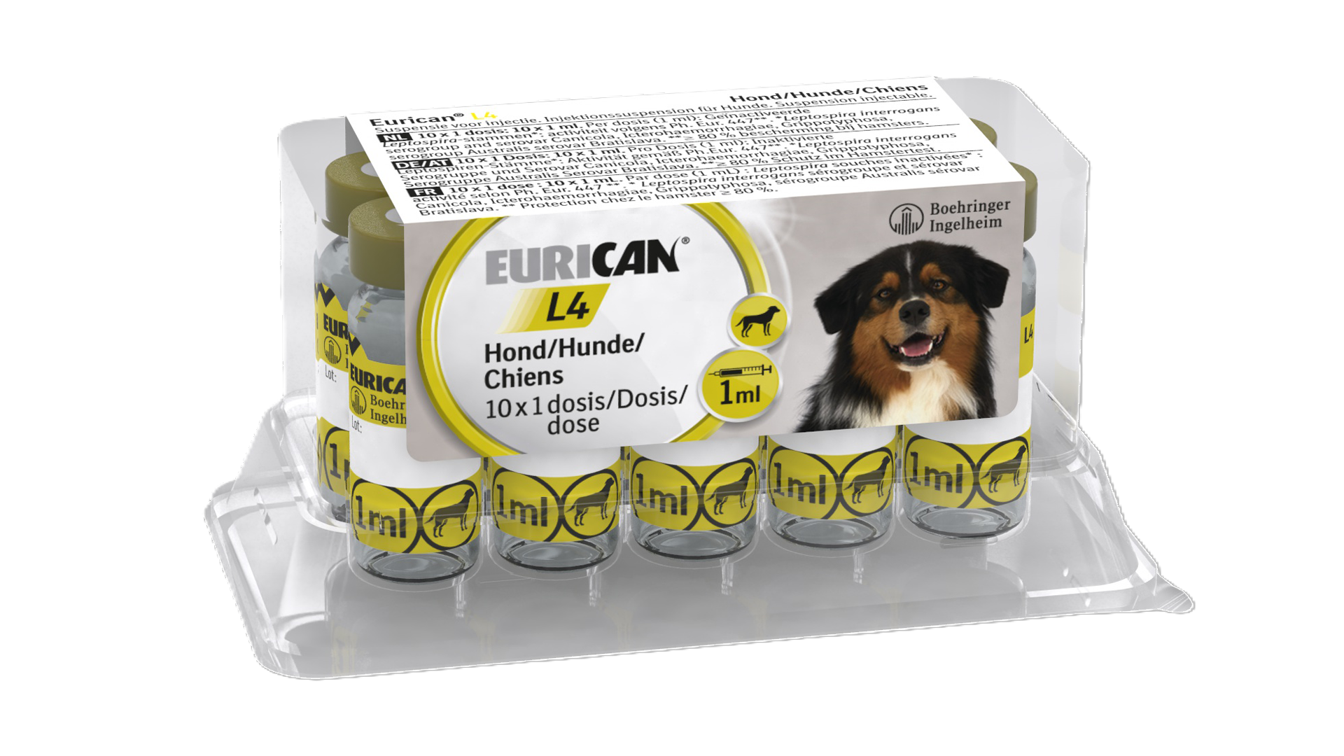 Eurican® L4 – Vetmedica